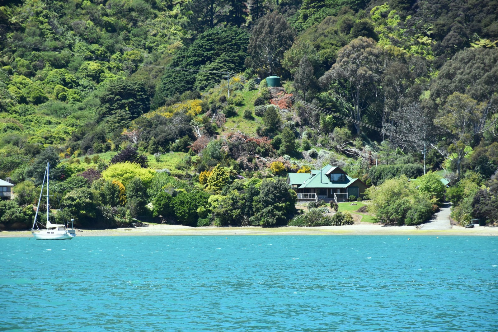 Kenepuru Sound | Cruise Guide