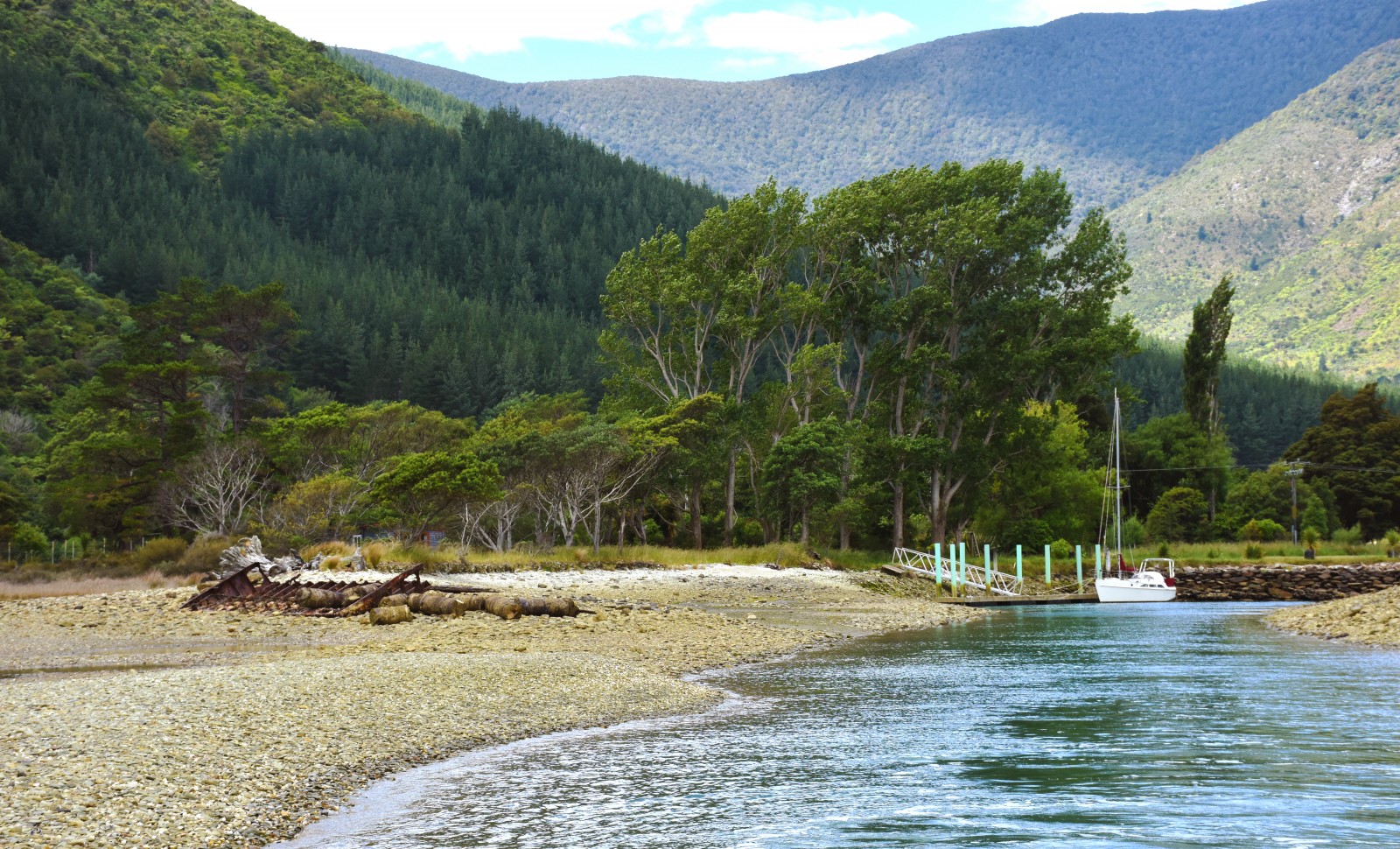 Pelorus Sound | Cruise Guide