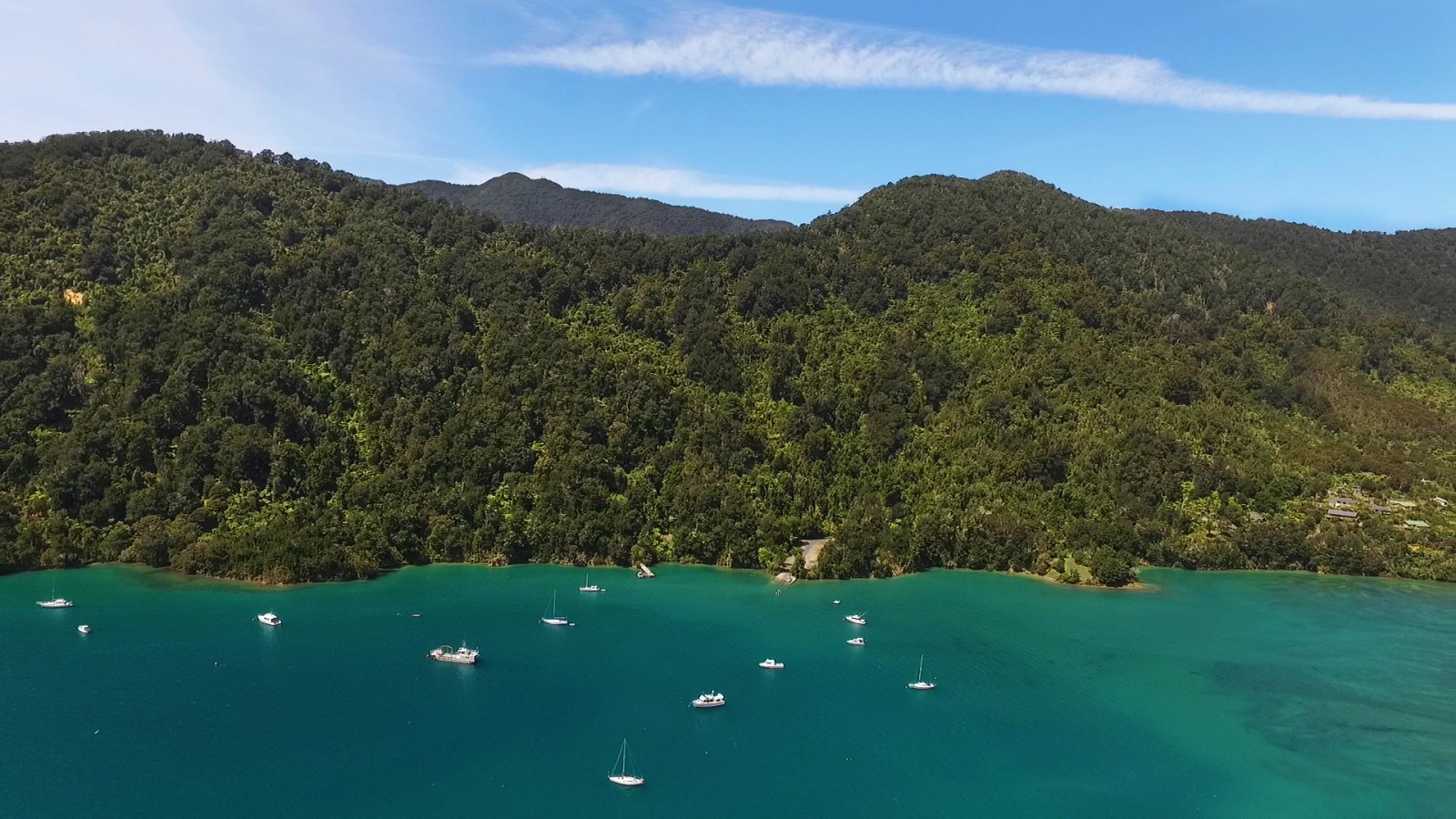 Pelorus Sound | Cruise Guide
